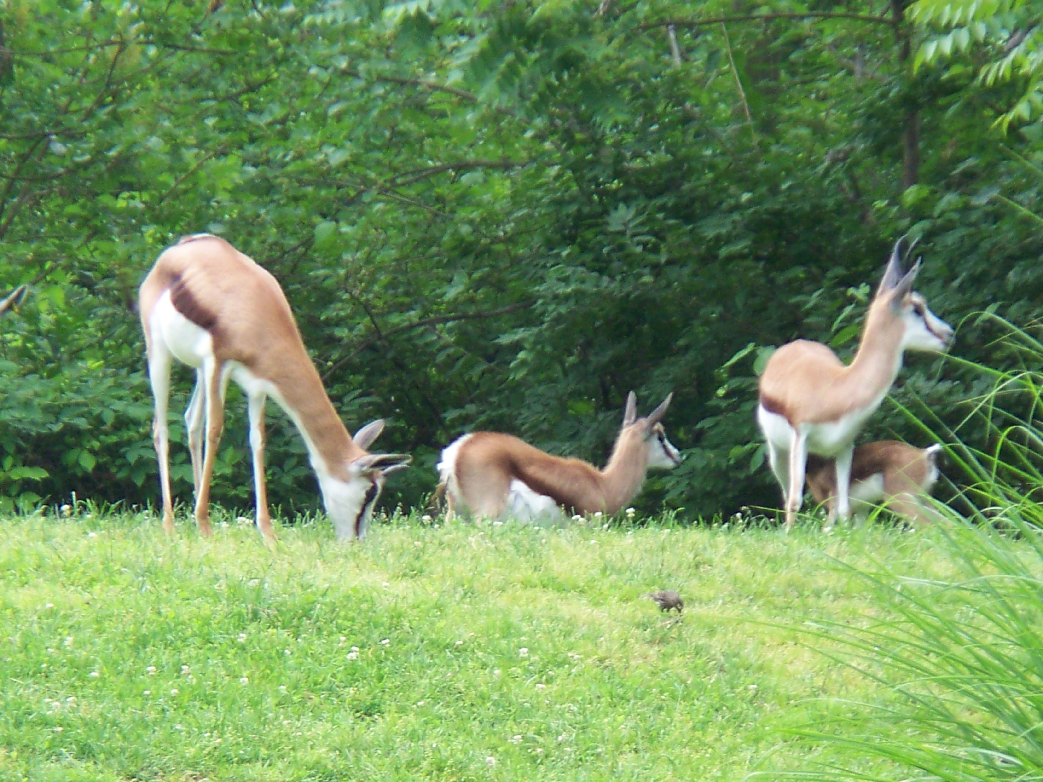 You are being redirected...