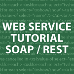 Web Services Tutorial 3 | New Think Tank
